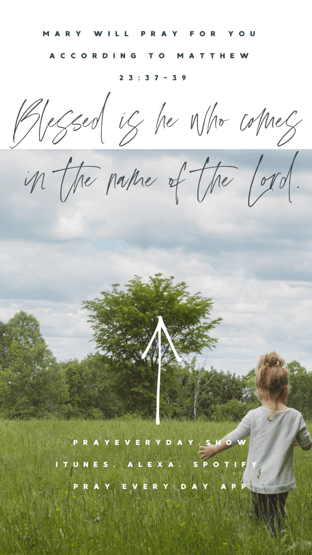 Matthew 23:37-39 - Mary DeMuth