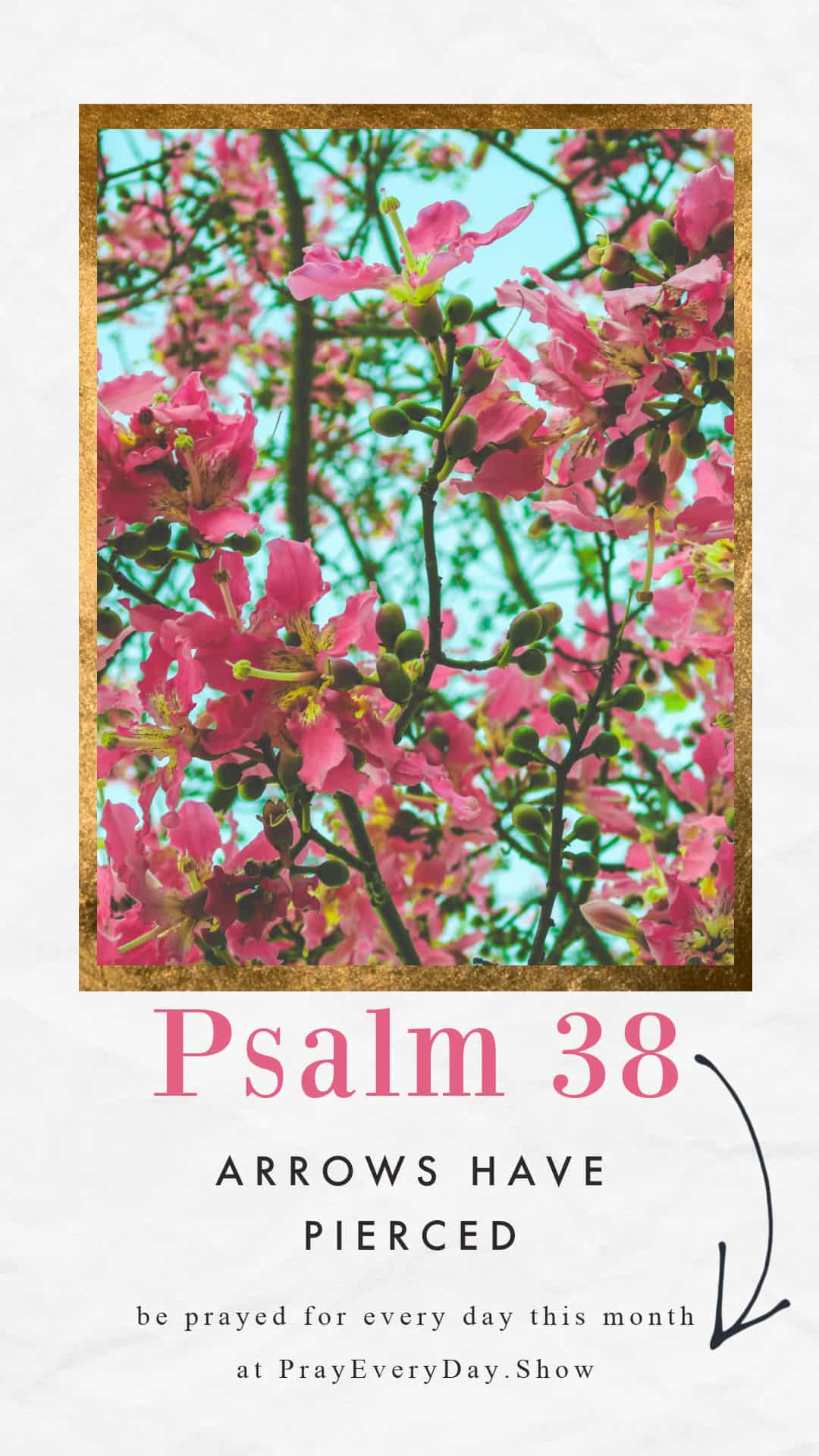 Psalm 38 - Mary DeMuth