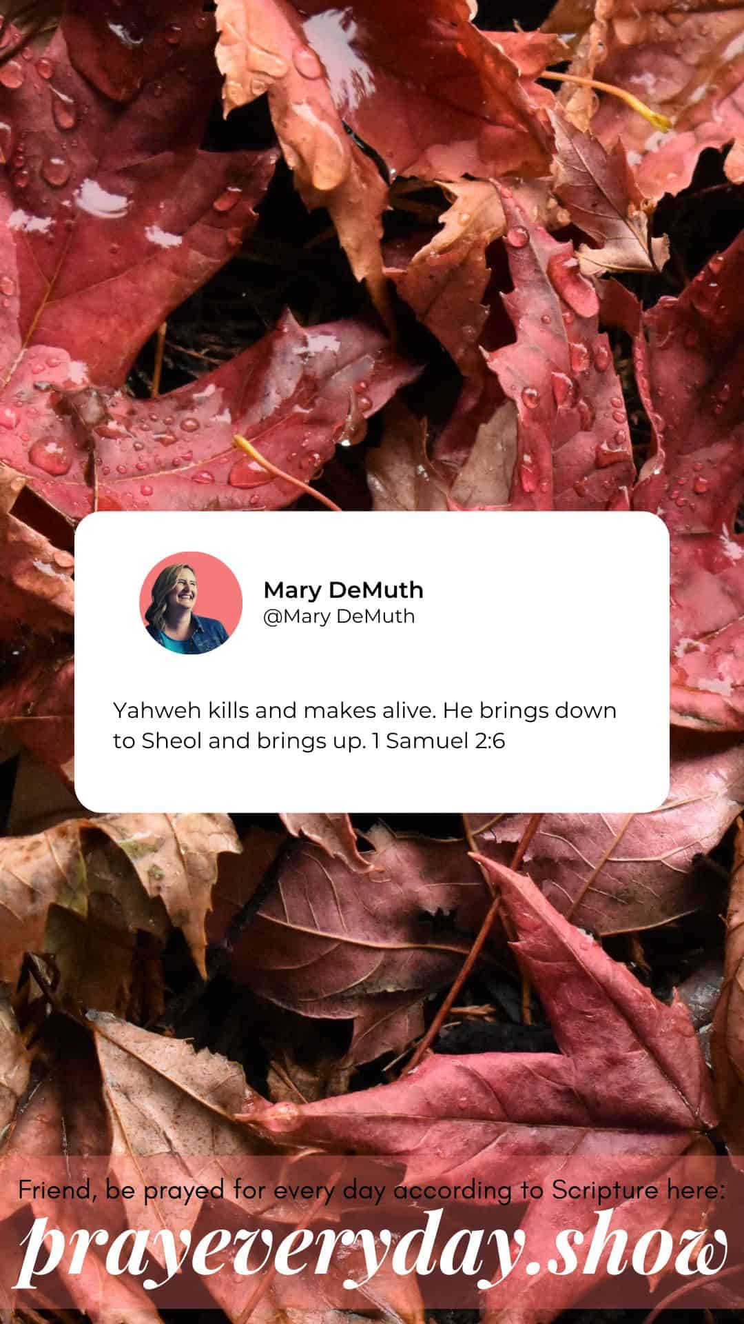 1 Samuel 2:1-18 - Mary DeMuth